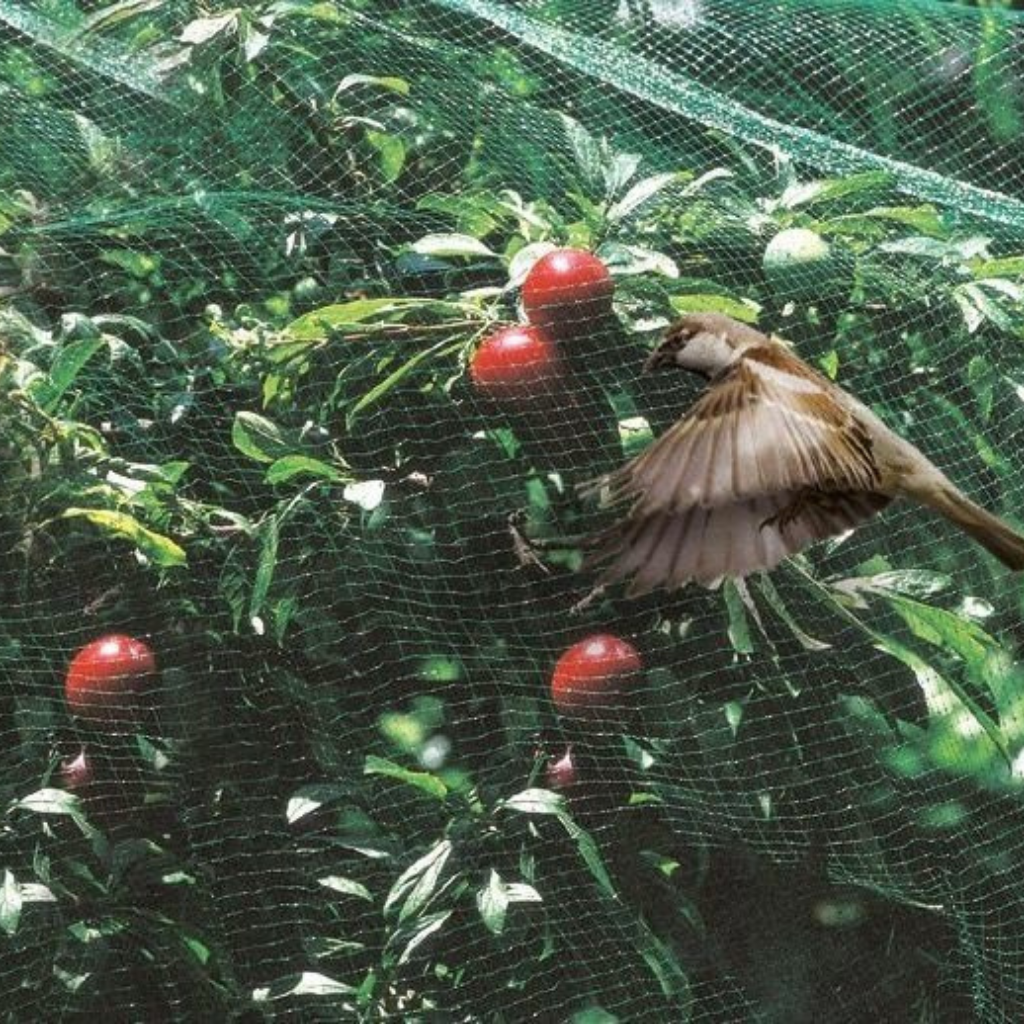 Anti Hail Net – Ideal Agrotextiles
